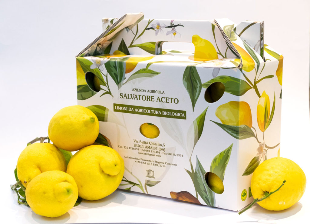 Box 5 KG Organic Lemons – Amalfi Lemon