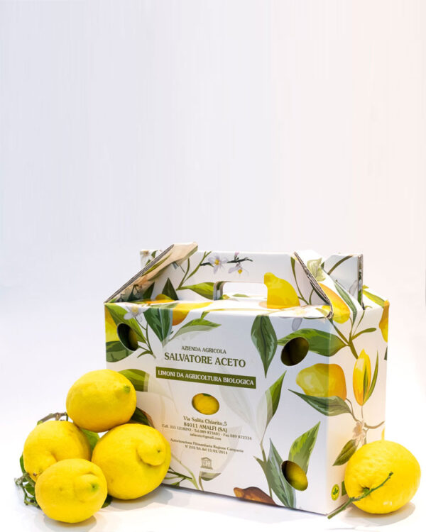 Box 5 KG Organic Lemons - Amalfi Lemon